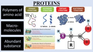 Central dogma of molecular biology | PPTX
