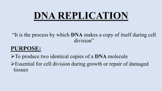 Central dogma of molecular biology | PPTX