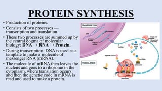 Central dogma of molecular biology | PPTX