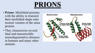 Central dogma of molecular biology | PPTX
