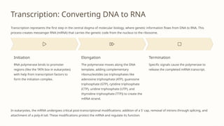 Comprehensive Overview of DNA Replication, Transcription, and ...