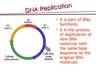 Central dogma of molecular genetics valerio | PPT