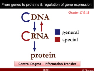 Central Dogma Overview of Biology ppt.ppt