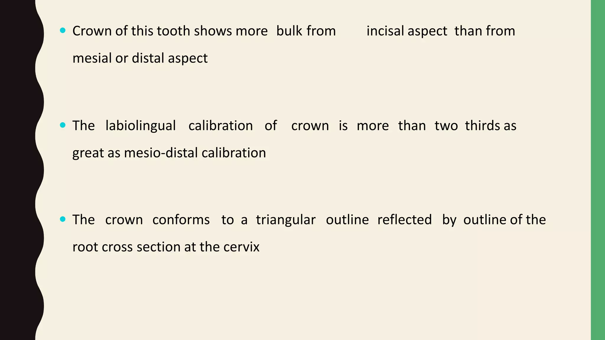 Maxillary Central Incisor | PPTX