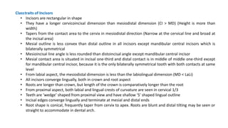 Central Incisors.pptx