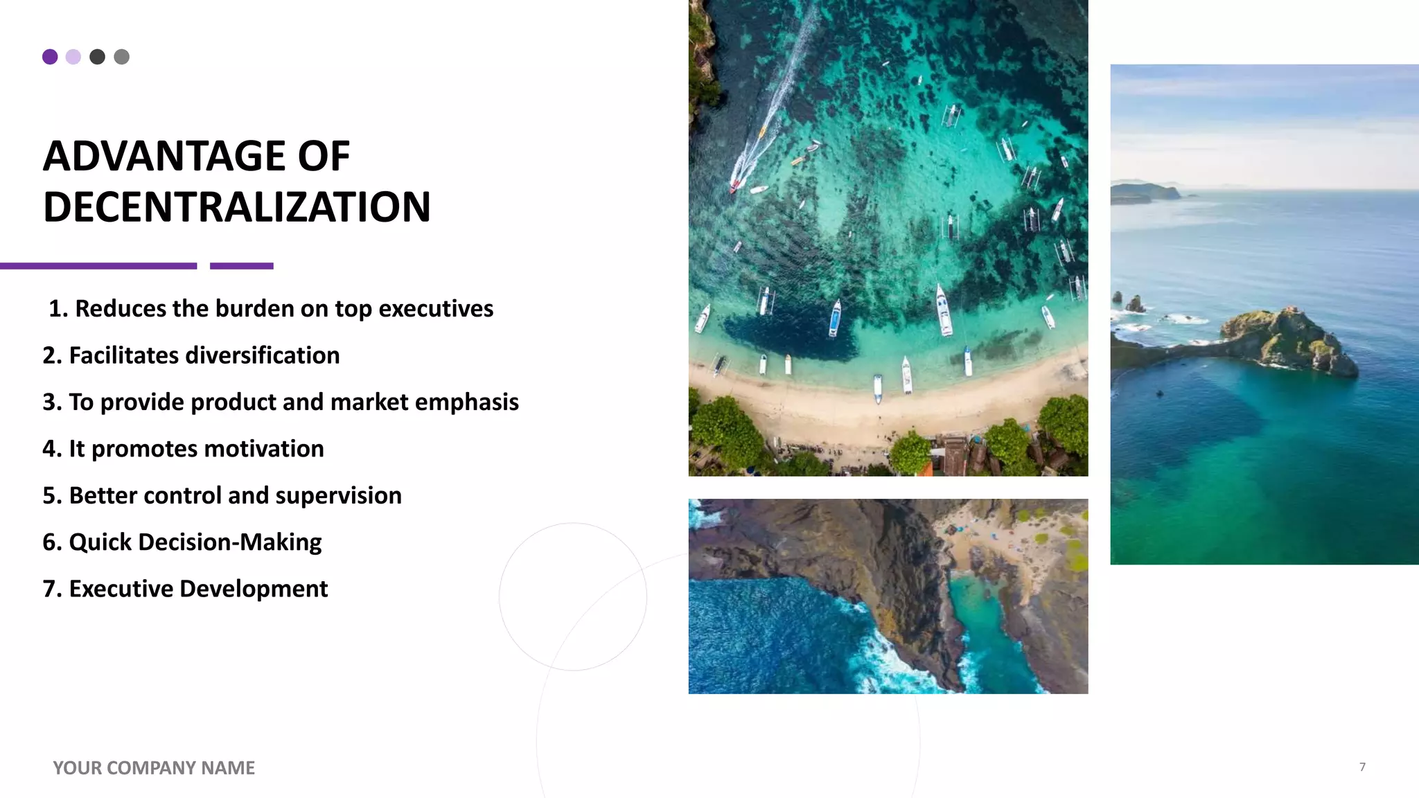 Centralization & Decentralization | PPTX