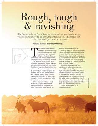 Rough, Tough & Ravishing | PDF