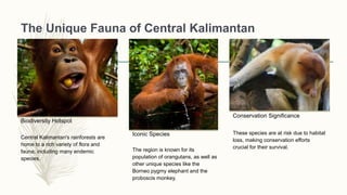 Central Kalimantan Culture (Traditional House) | PPTX