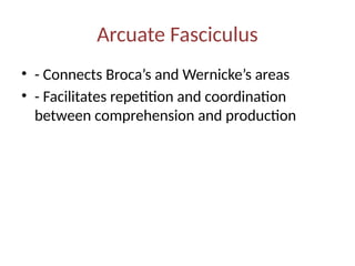 Central_Language_Mechanism_and_its_disorders_Ppt.pptx