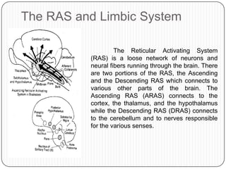 Central nervous system | PPTX | Brain and Nervous System Disorders ...