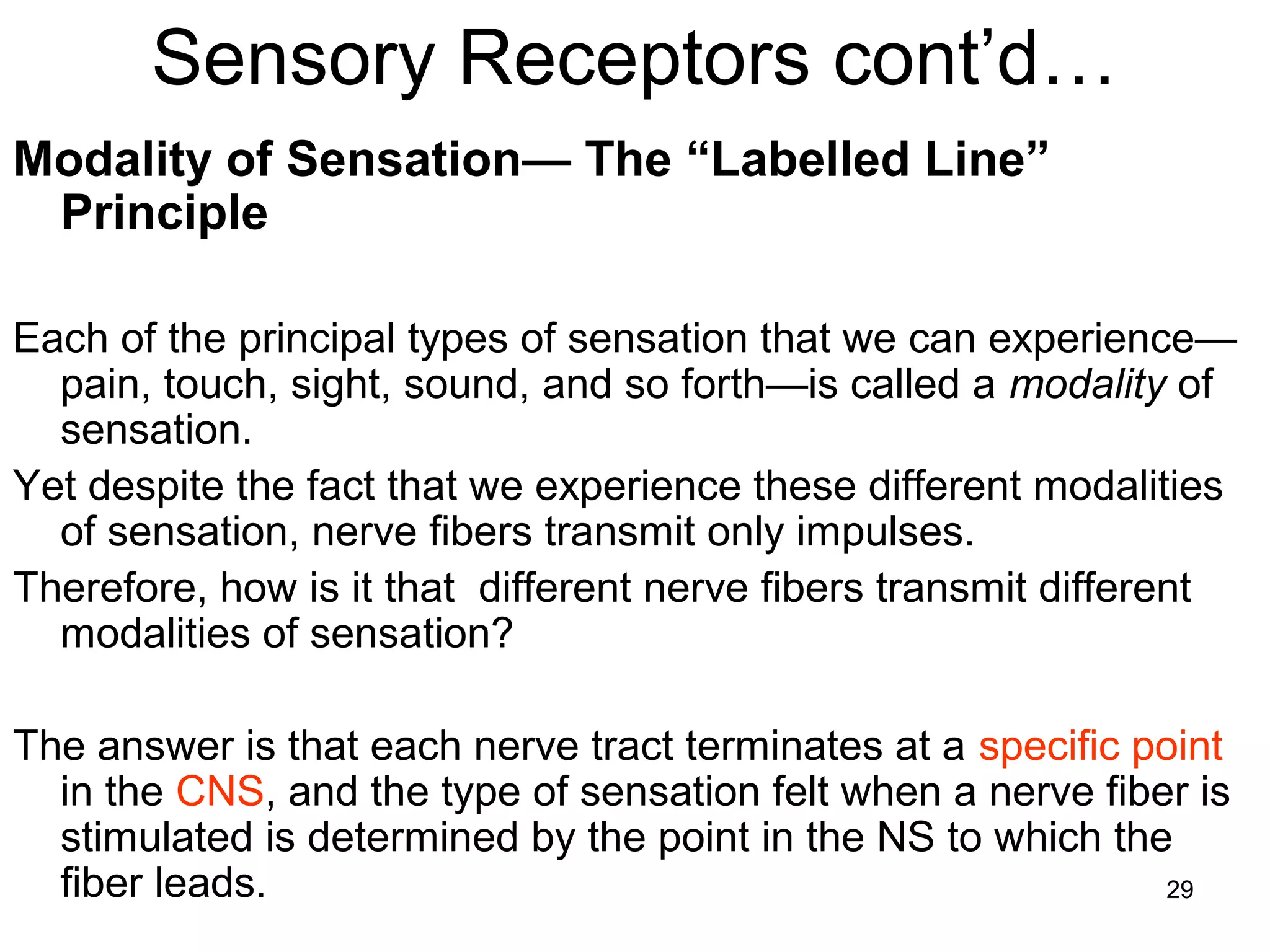 Central nervous system | PPT