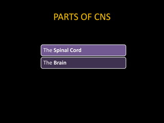 Central nervous system | PPTX