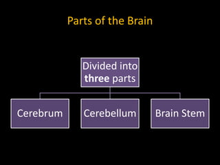 Central nervous system | PPTX