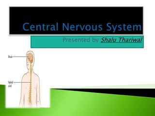 Central nervous system | PPTX