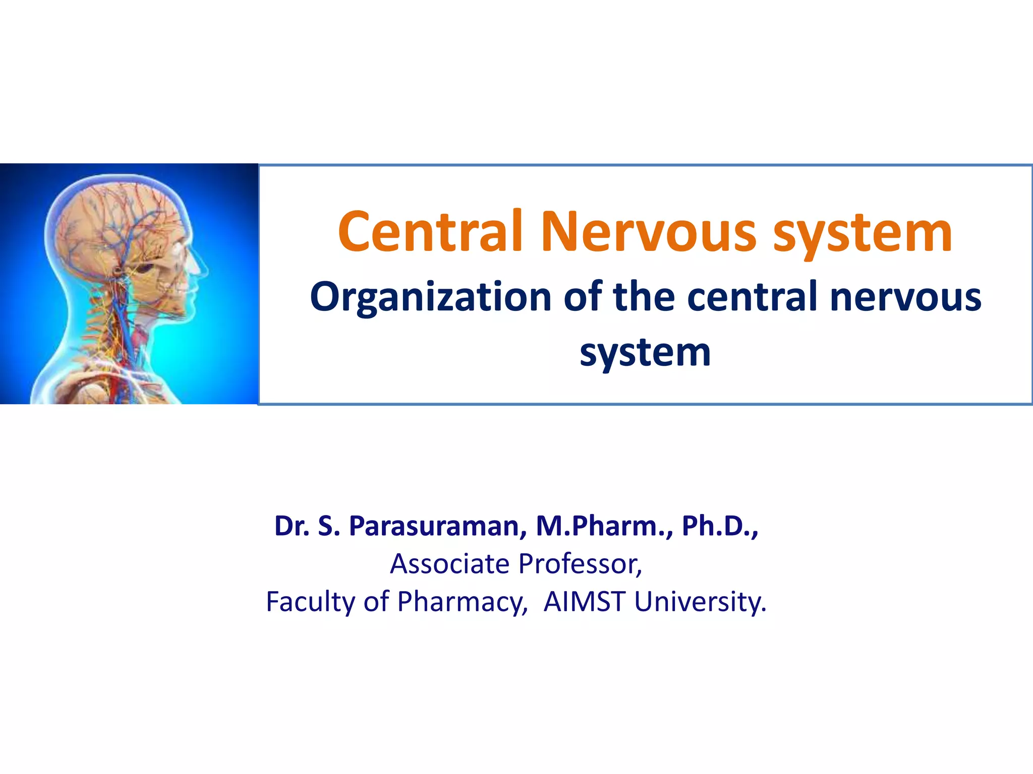 Central nervous system | PPTX