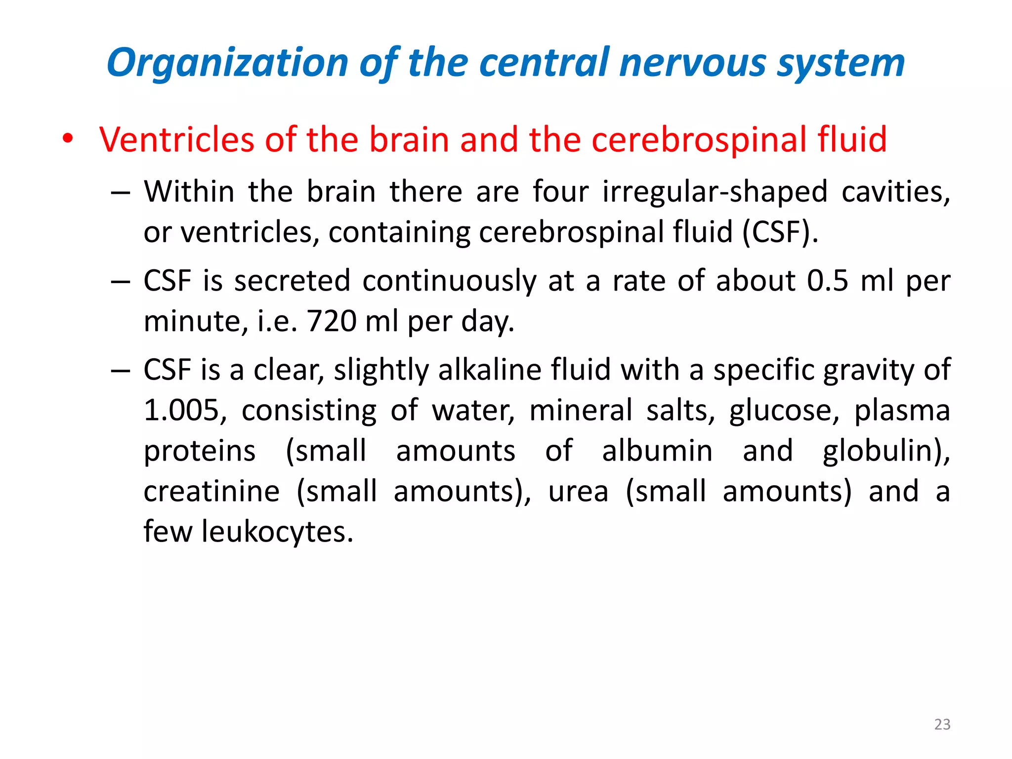 Central nervous system | PPTX