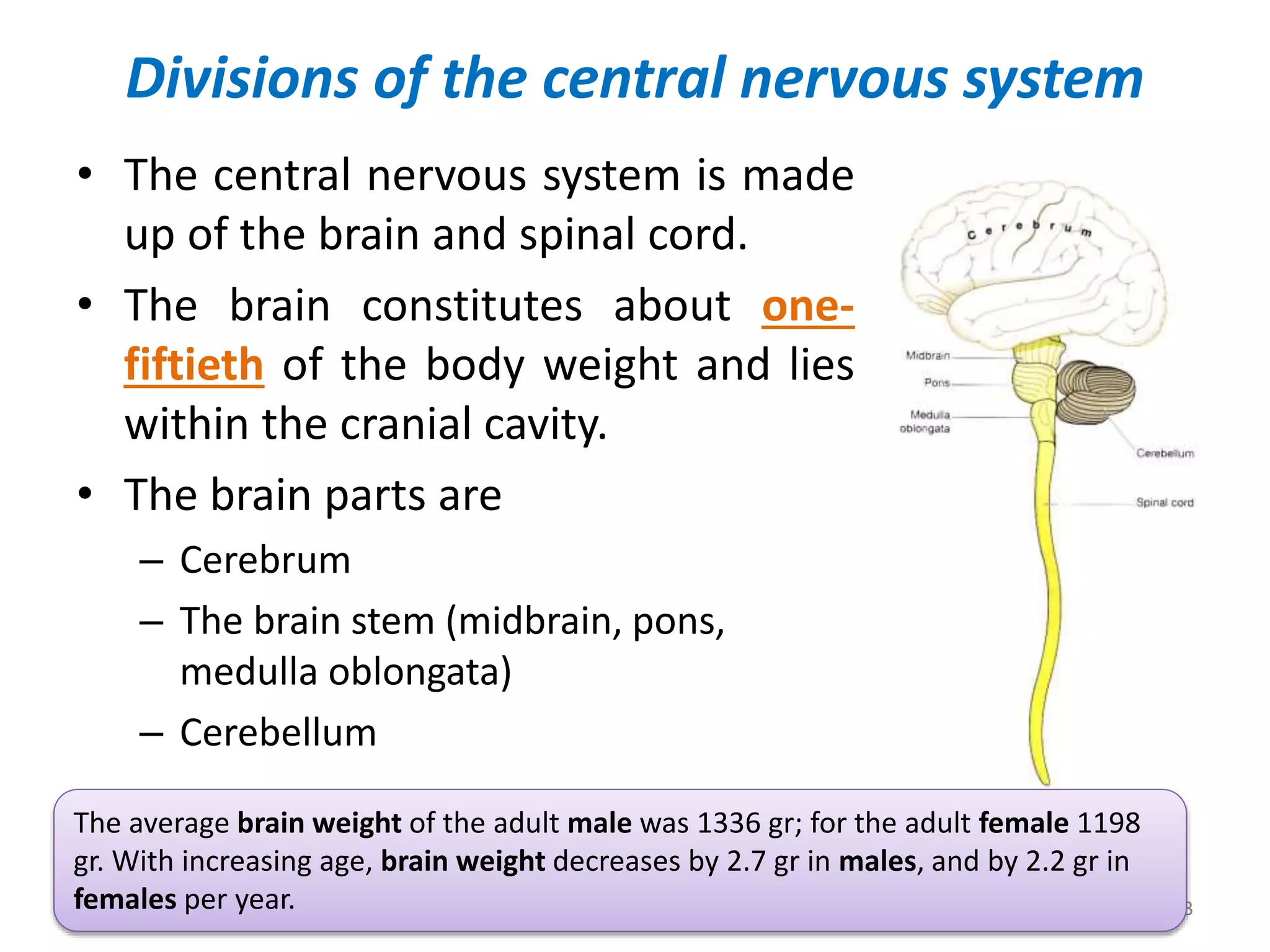 Central nervous system | PPTX