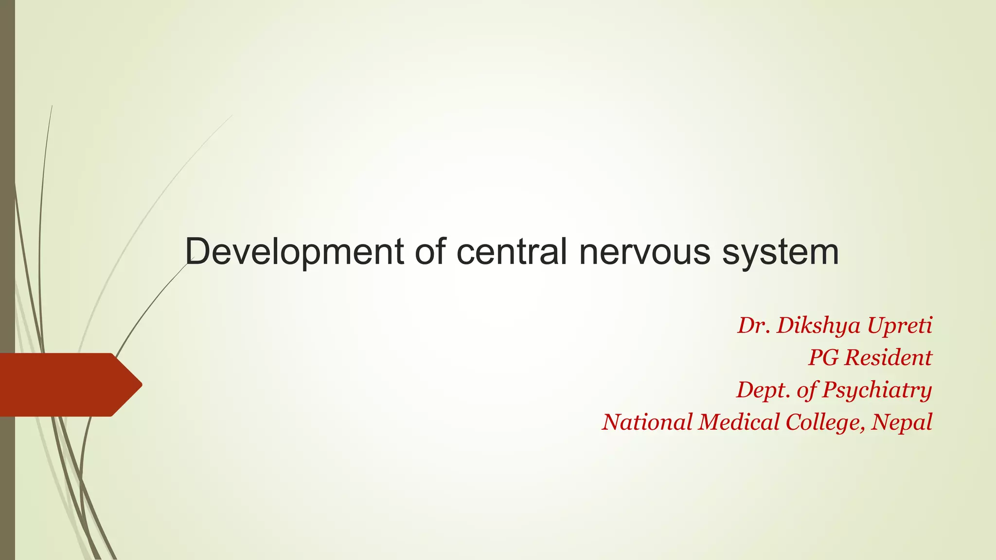 Development of central nervous system | PPTX