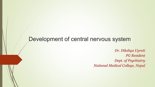 Development of central nervous system | PPTX