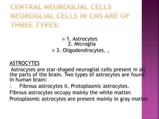 CENTRAL NERVOUS SYSTEM.pptx