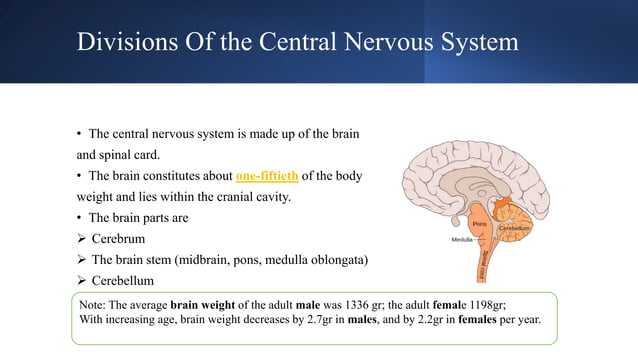 CENTRAL NERVOUS SYSTEM.pptx