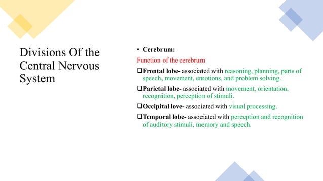 CENTRAL NERVOUS SYSTEM.pptx