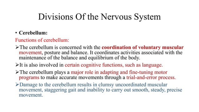 CENTRAL NERVOUS SYSTEM.pptx
