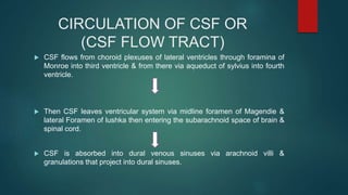 Central Nervous System.pptx | Brain and Nervous System Disorders ...