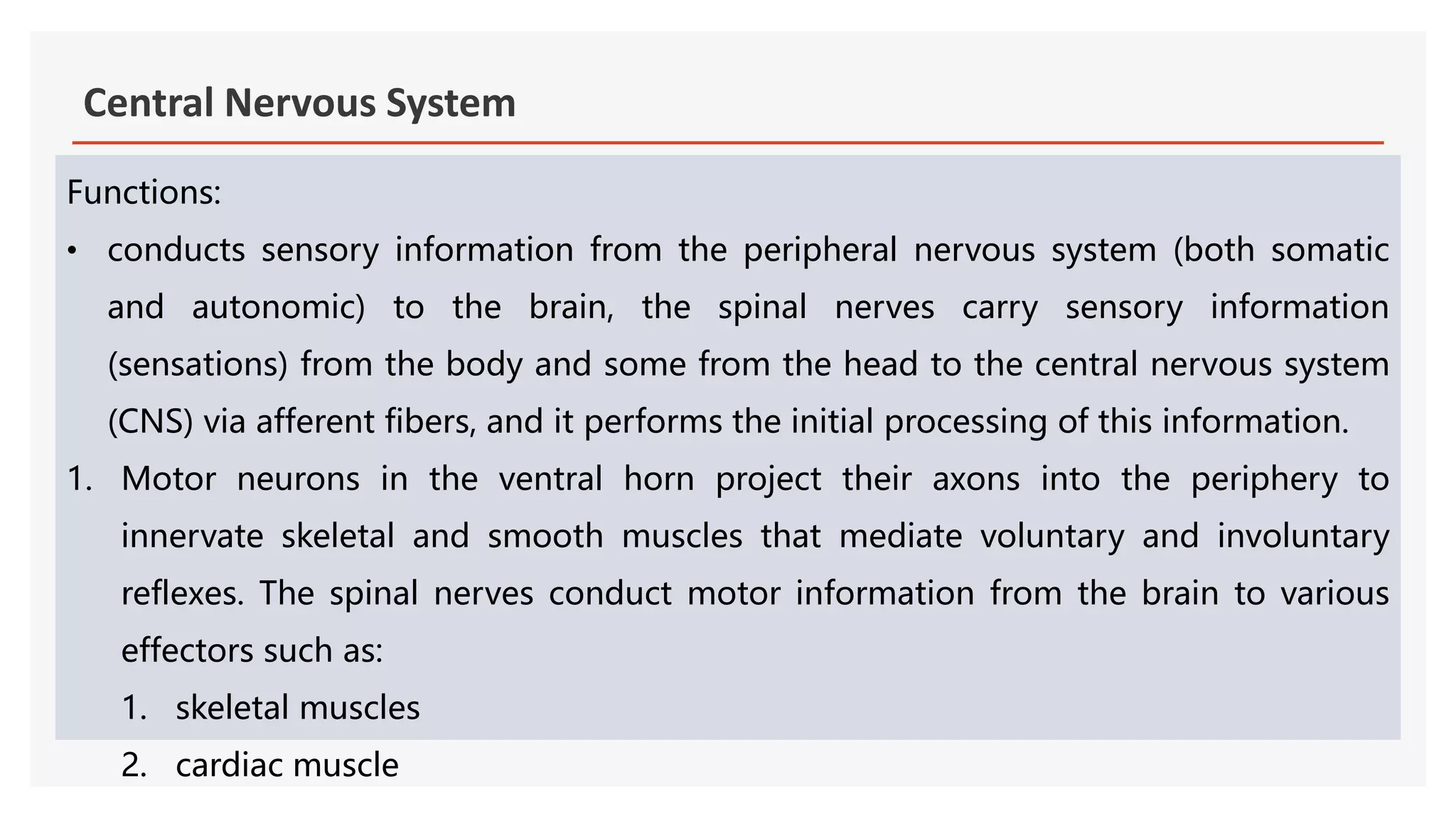 Central Nervous System.pptx