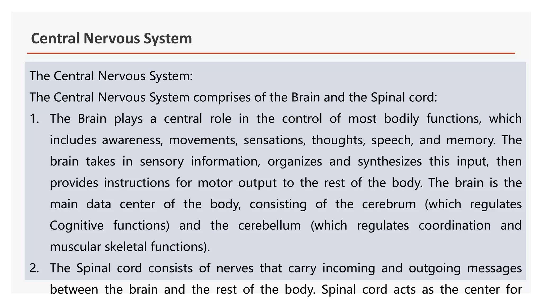 Central Nervous System.pptx