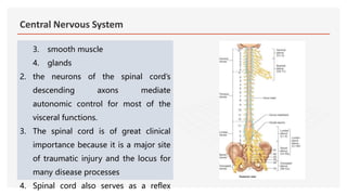 Central Nervous System.pptx