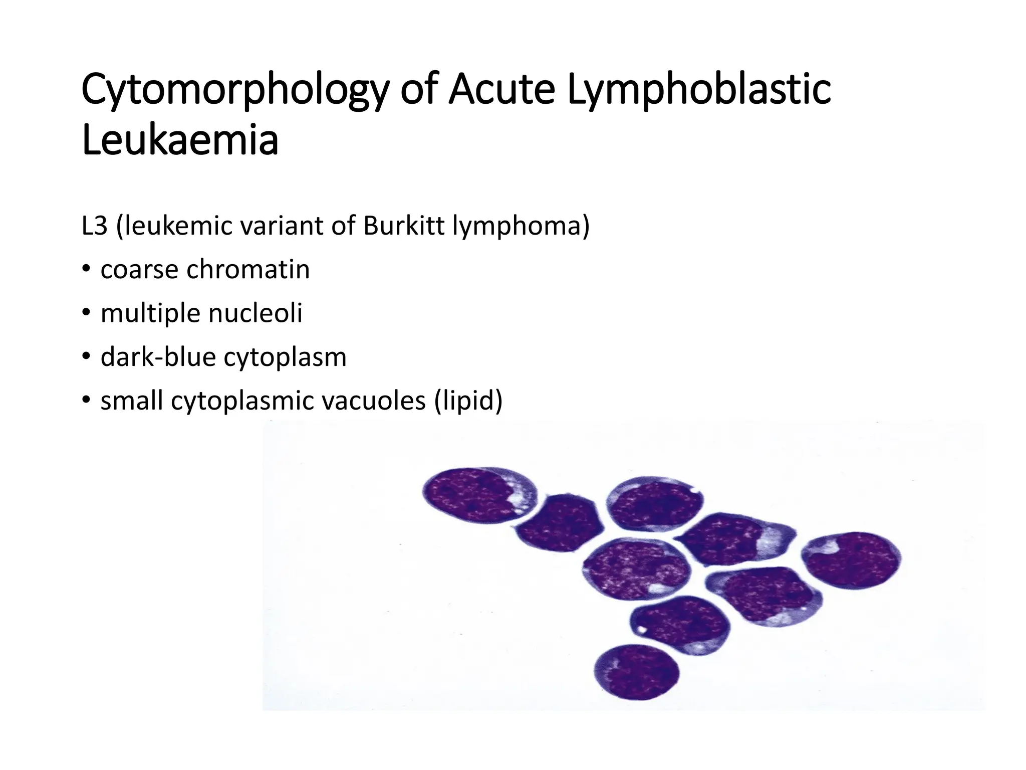 Clinical diagnostic Cytology Central Nervous System.pdf