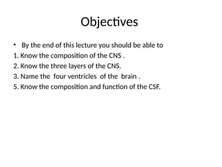 Simple notes on Central_Nervous_system-EHC-5.pptx
