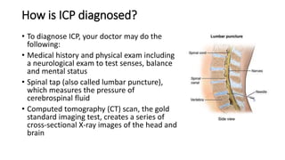 CENTRAL NERVOUS SYSTEM (1) (1).pptx