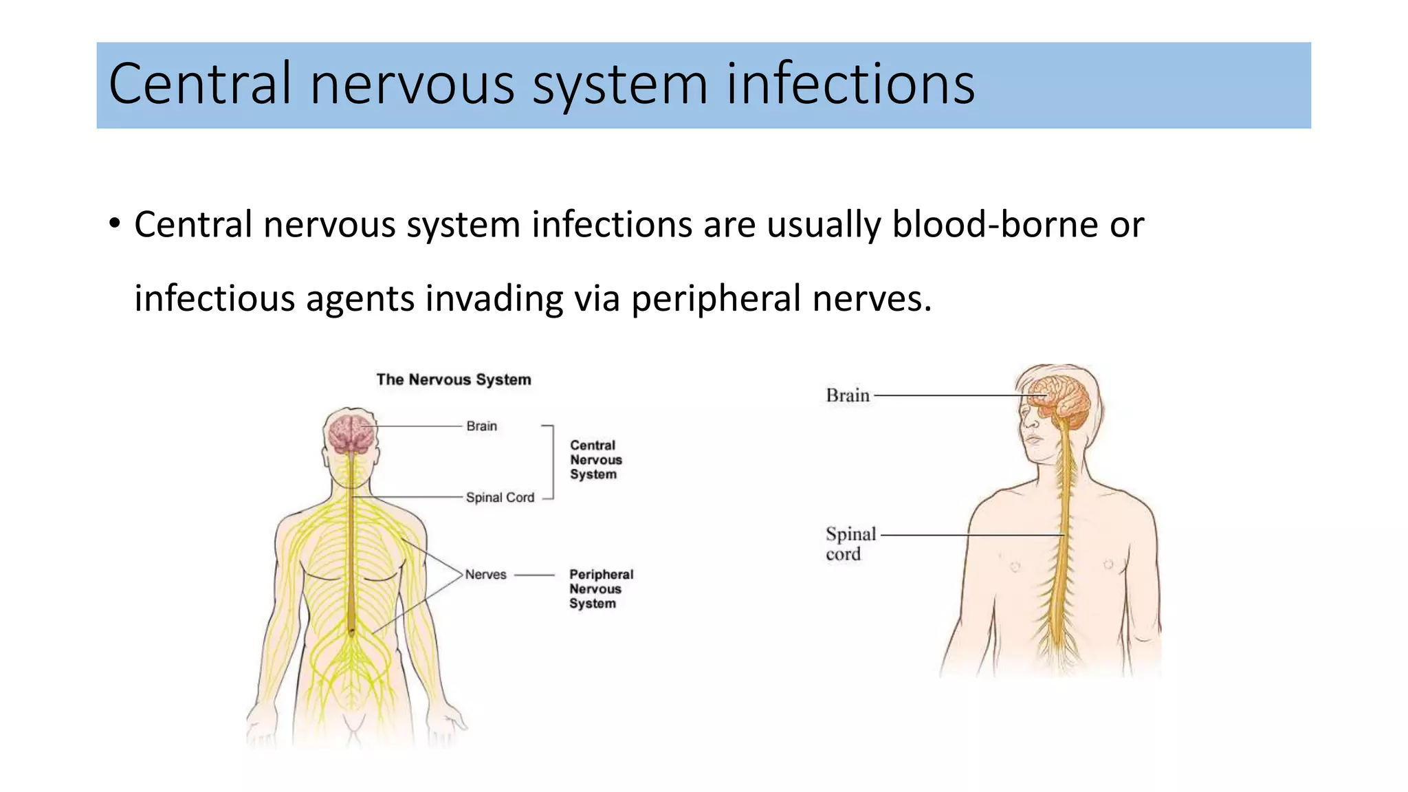 Central nervous system infections | PPTX