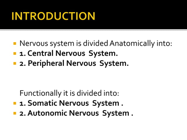 Central nervous system introduction | PPTX