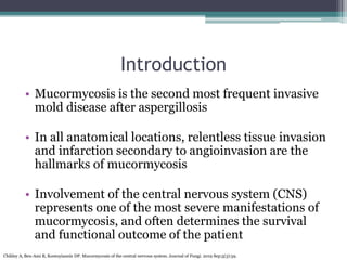 Central Nervous System Mucormycosis | PPT