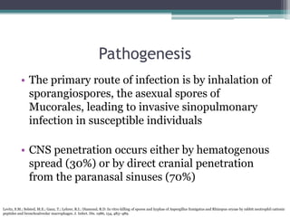 Central Nervous System Mucormycosis | PPT