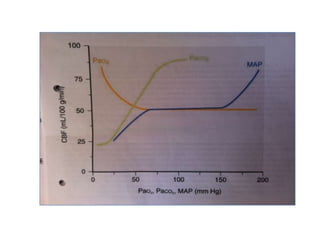 Central nervous system physiology and cerebral blood flow2012 | PPTX