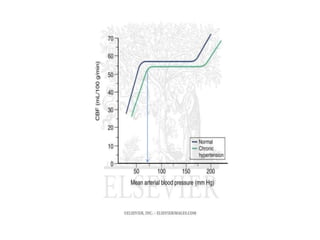 Central nervous system physiology and cerebral blood flow2012 | PPTX