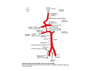 Central nervous system physiology and cerebral blood flow2012 | PPTX