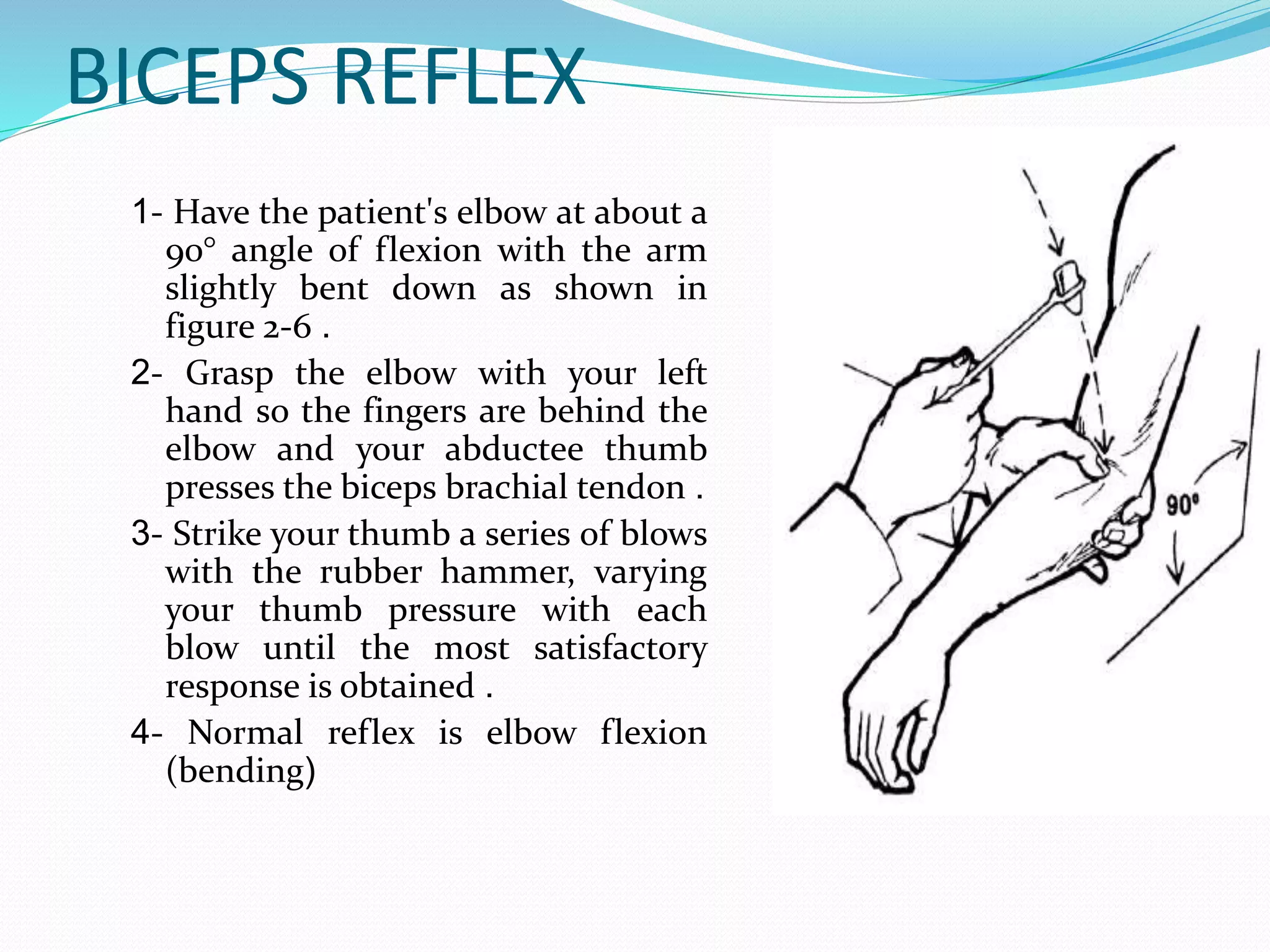 Central nervous system vidhya | PPTX