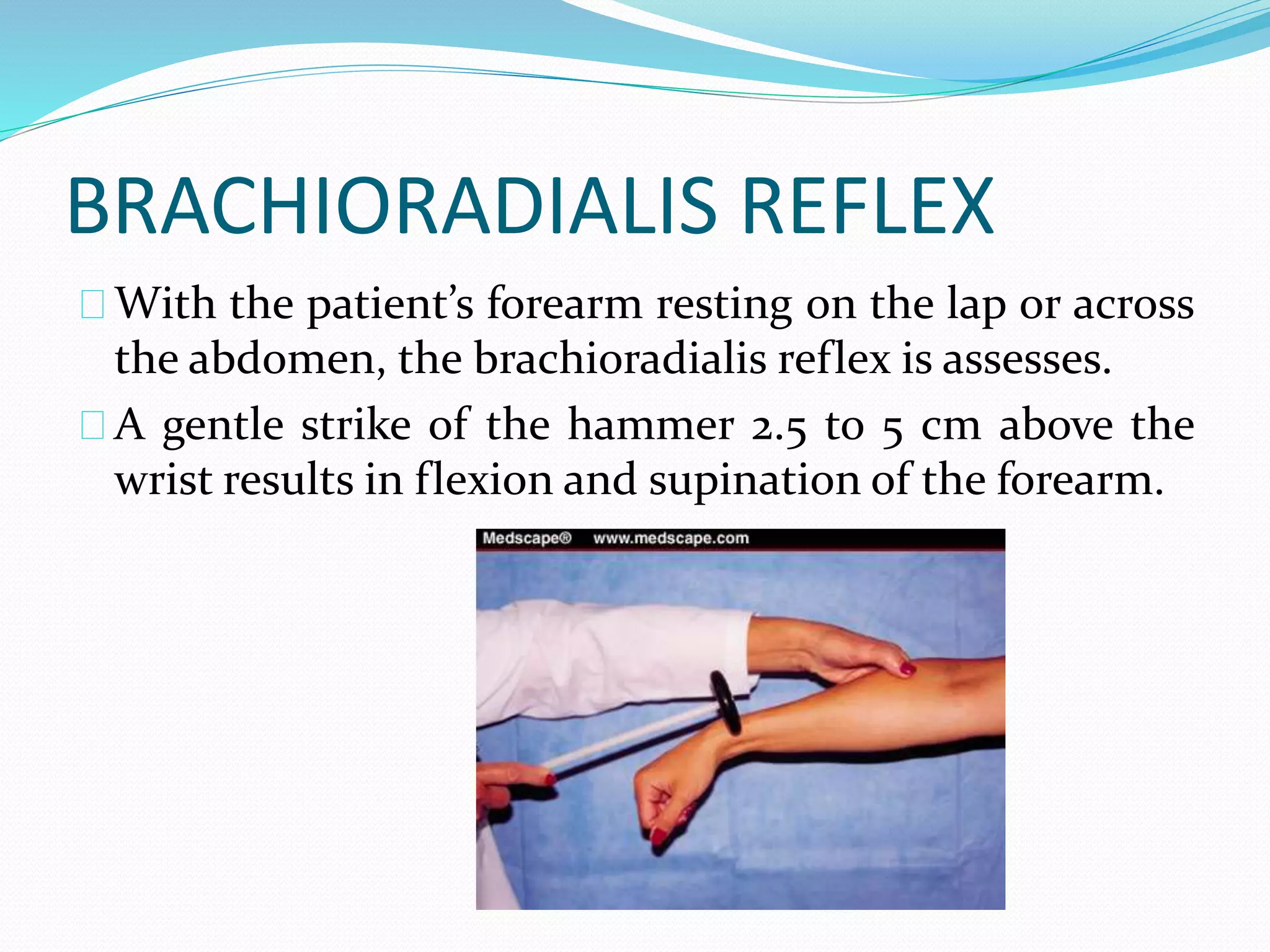 Central nervous system vidhya | PPTX