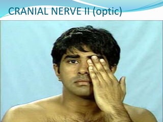 Central nervous system vidhya | PPTX