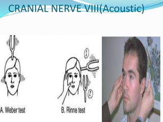 Central nervous system vidhya | PPTX