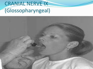 Central nervous system vidhya | PPTX