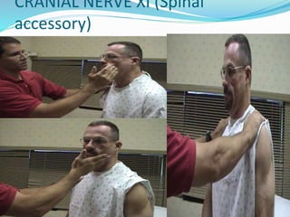 Central nervous system vidhya | PPTX