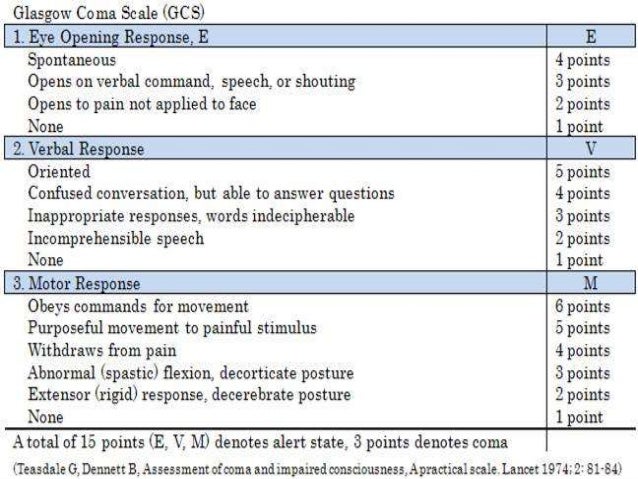 Central nervous system vidhya