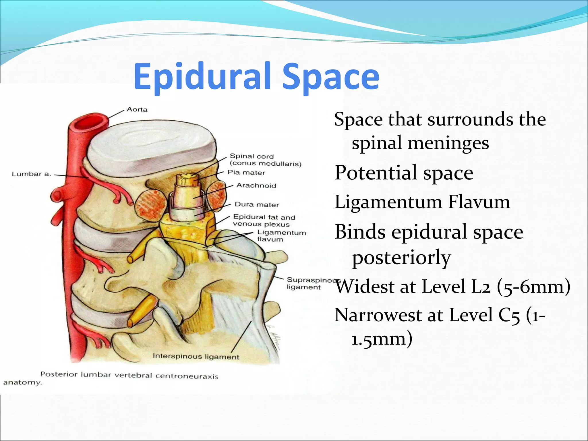 Central neuroaxial blockade | PPT
