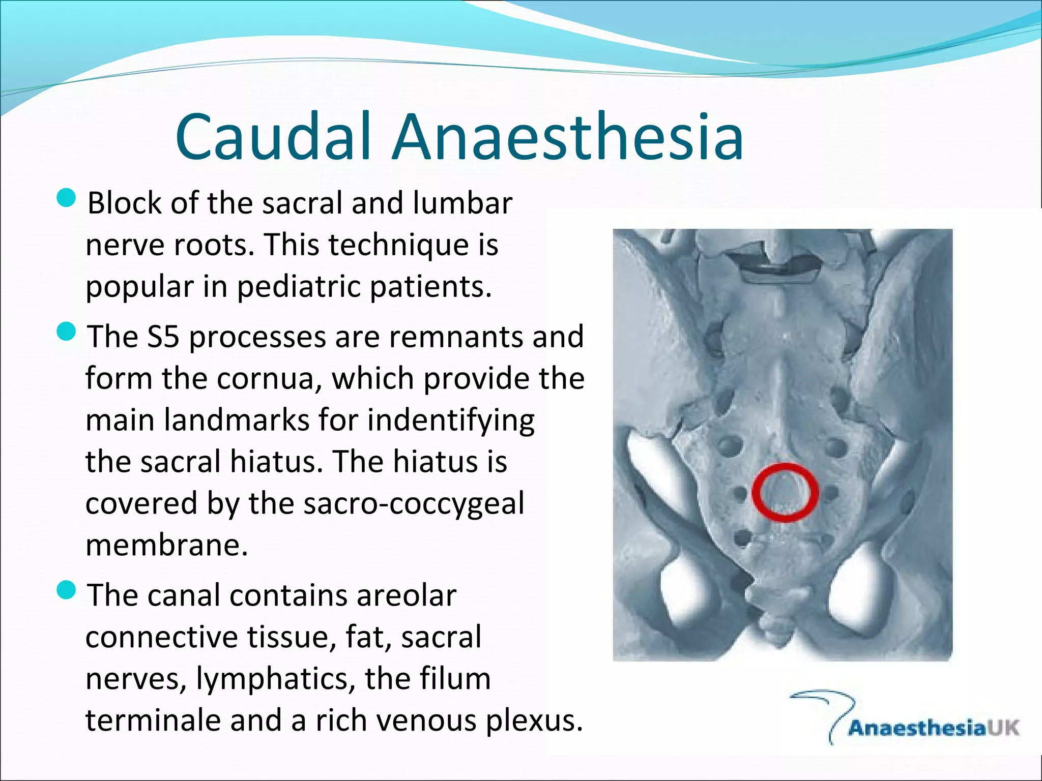 Central neuroaxial blockade | PPT